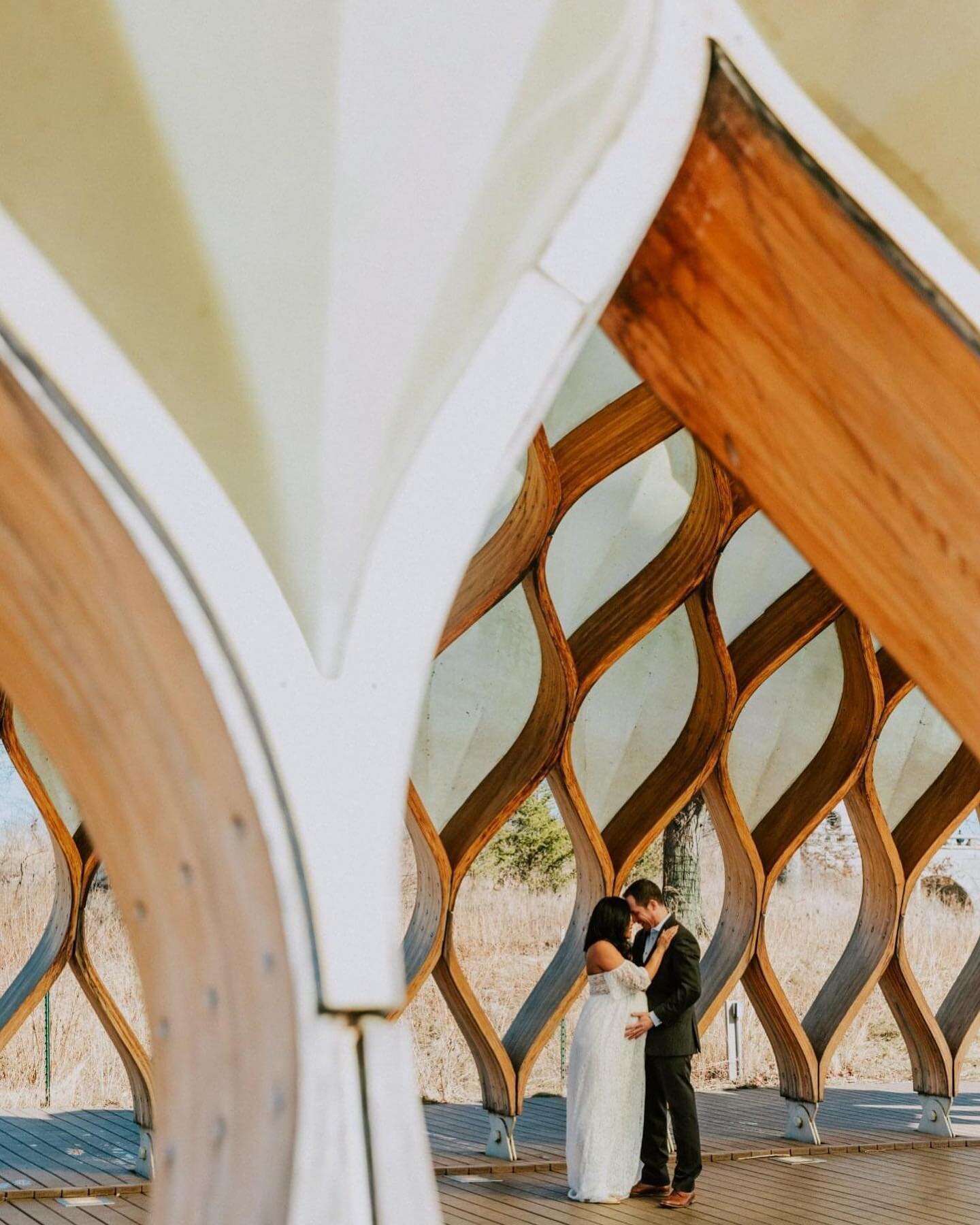 Charissa Johnson Photography