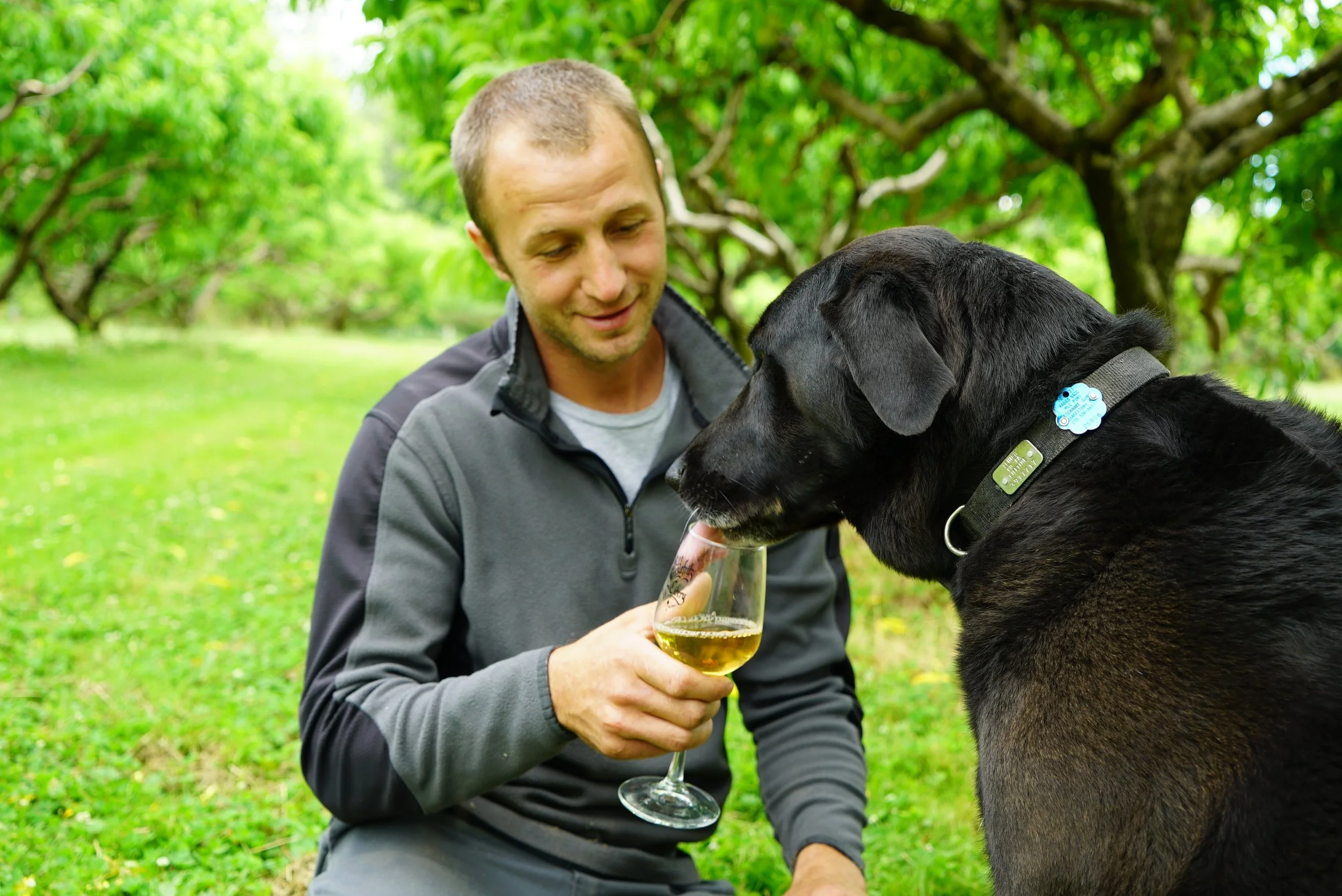 Our Story — Snicklefritz Cidery