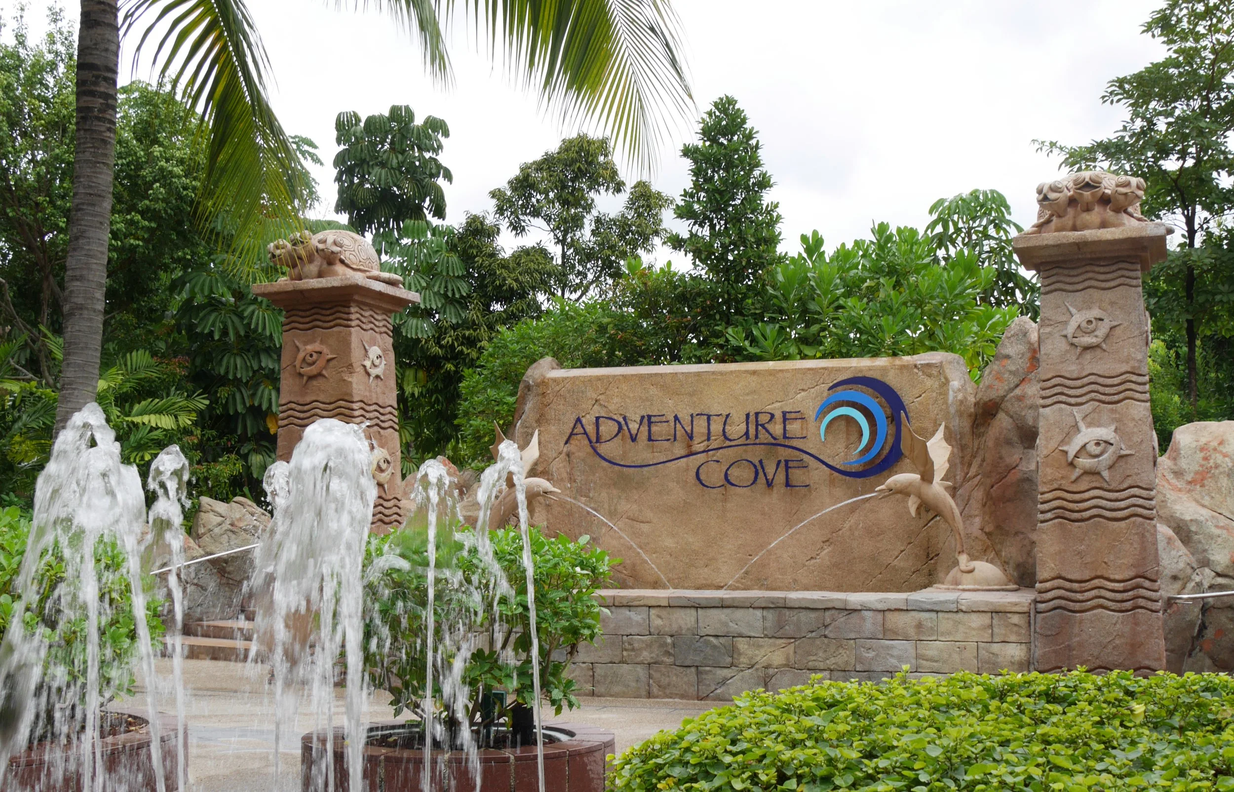 Adventure Cove — Square Peg Design