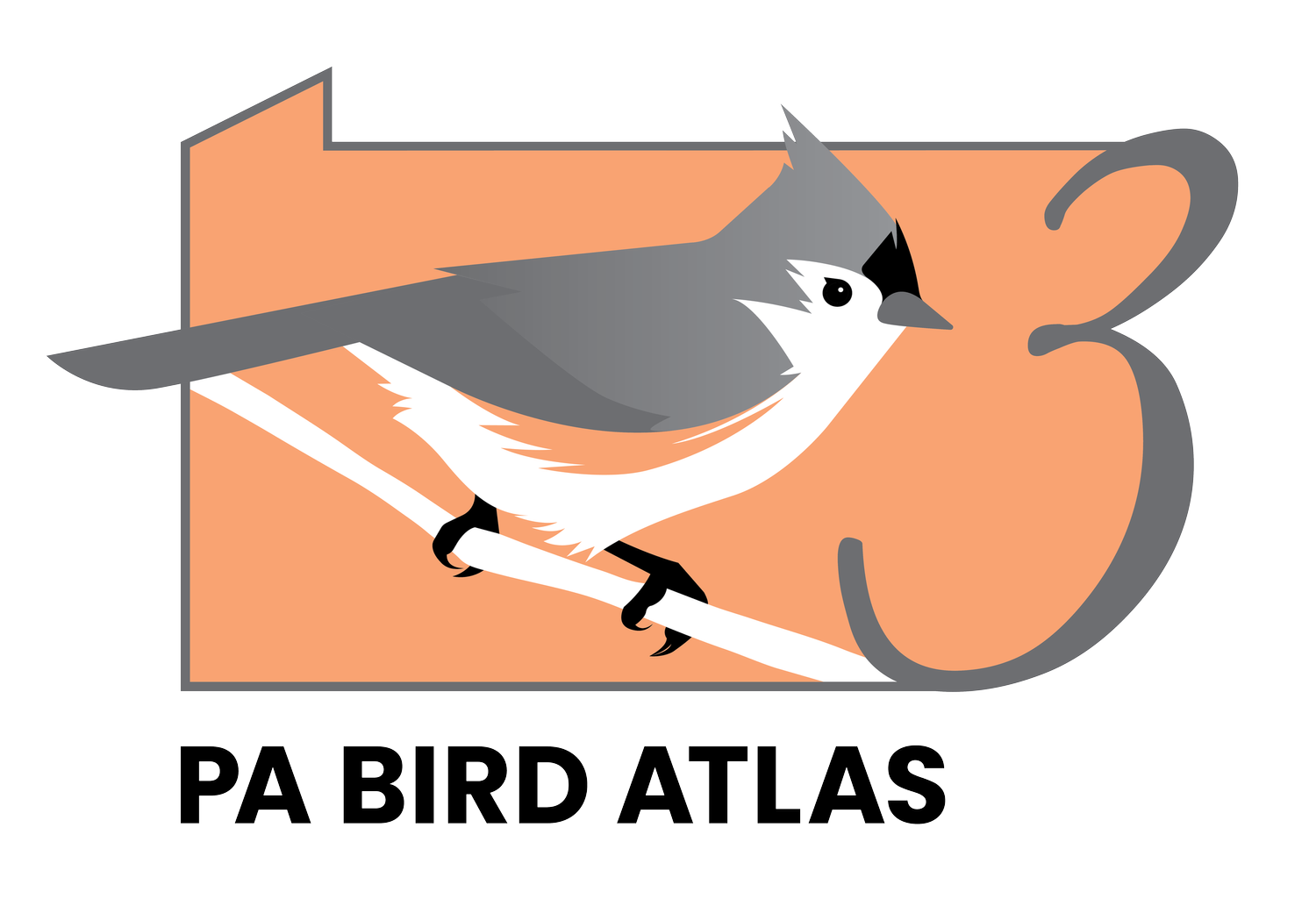 Third Pennsylvania Bird Atlas — Westmoreland Bird & Nature Club