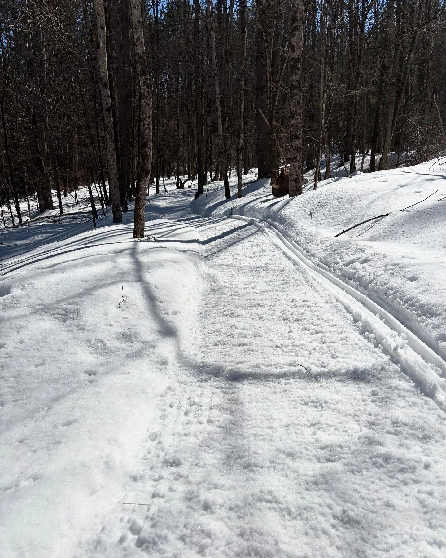 Woodstock Area Mountain Bike Association (WAMBA)