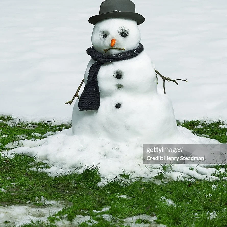 Woodstock Area Mountain Bike Association (WAMBA)