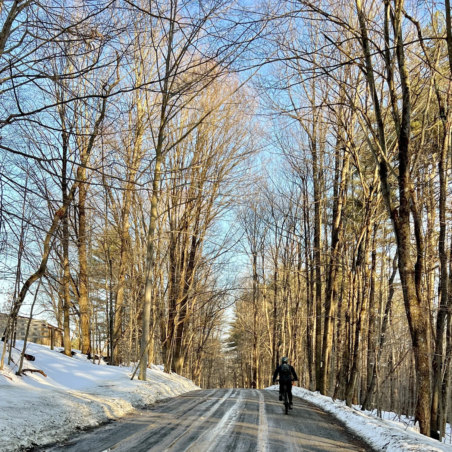 Woodstock Area Mountain Bike Association (WAMBA)