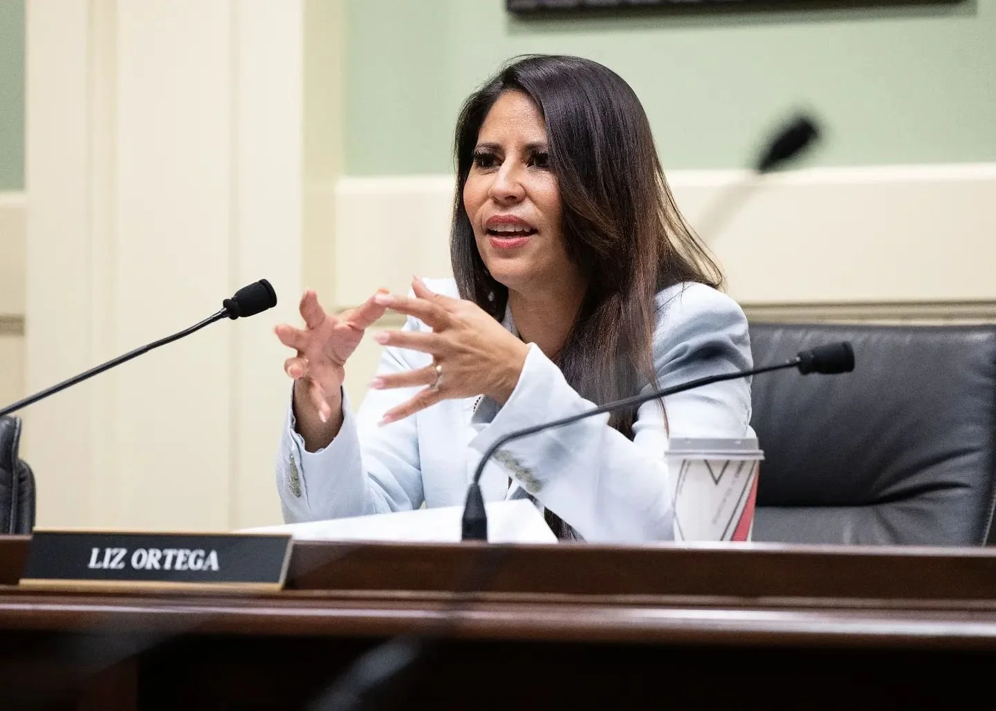 Issues — Liz Ortega for Assembly