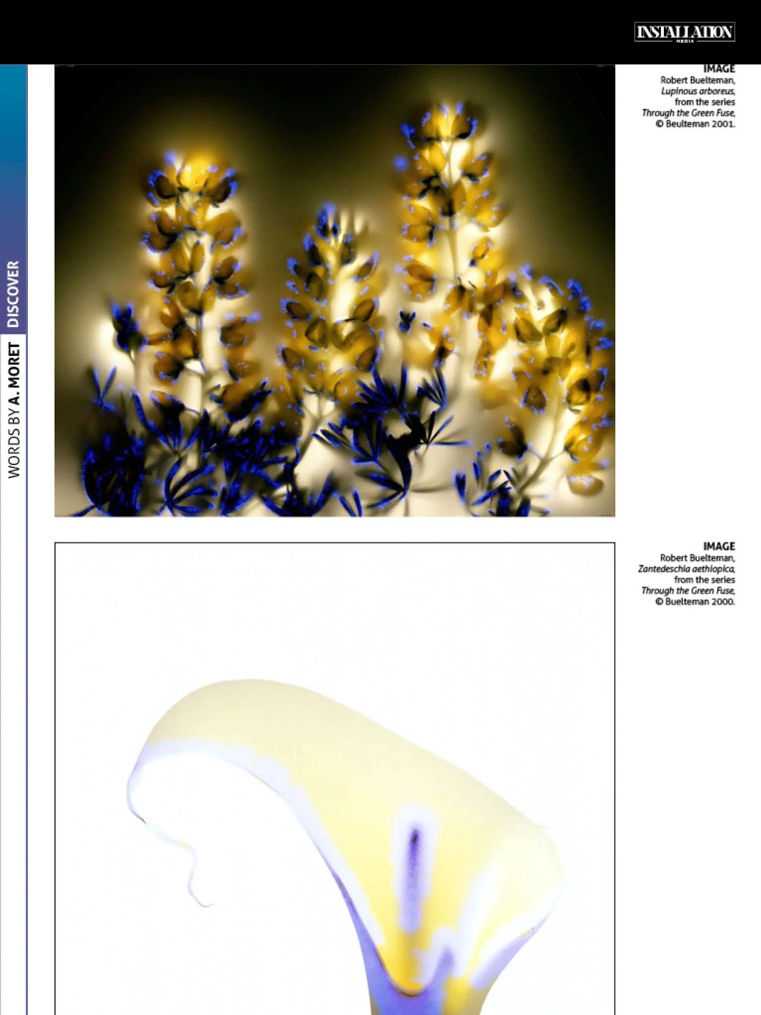 Installation Magazine — Buelteman Studio