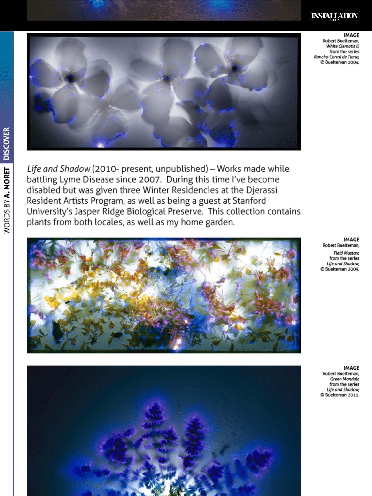 Installation Magazine — Buelteman Studio