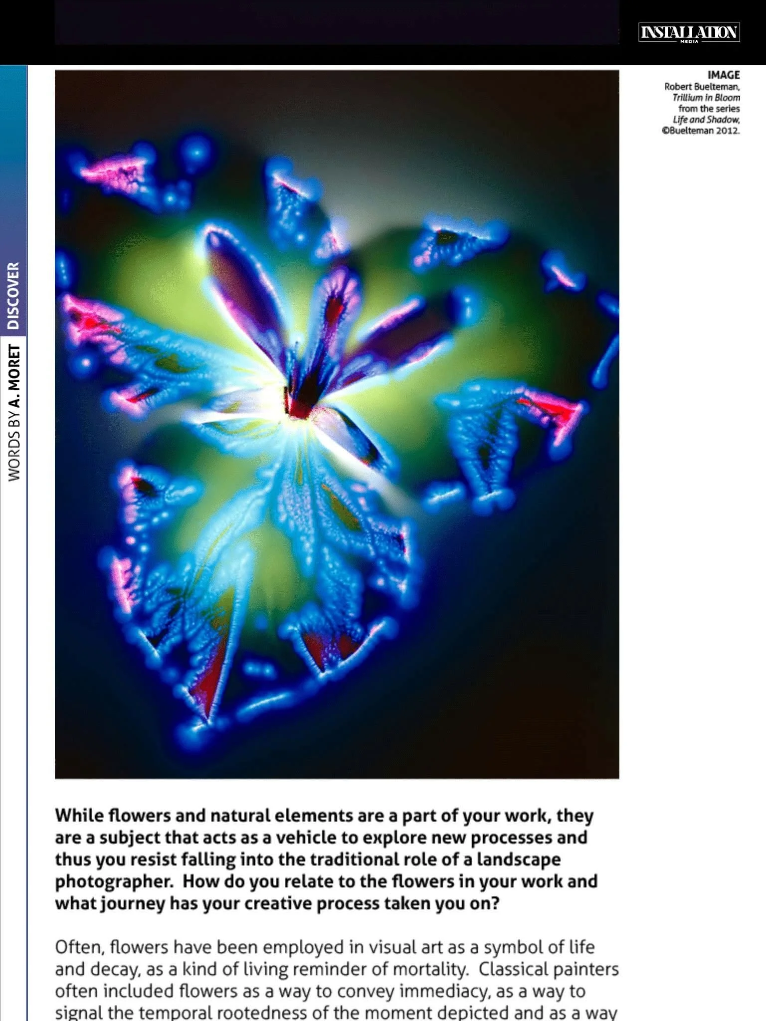 Installation Magazine — Buelteman Studio