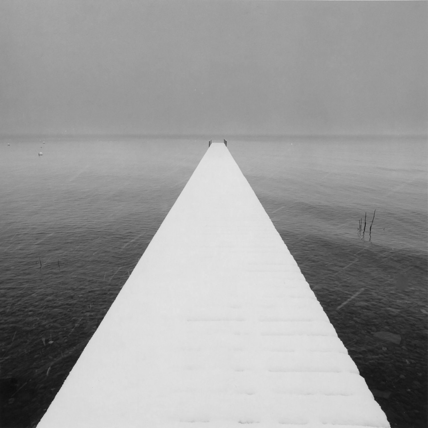 For the Love of Winter - A Holiday Greeting! — Buelteman Studio