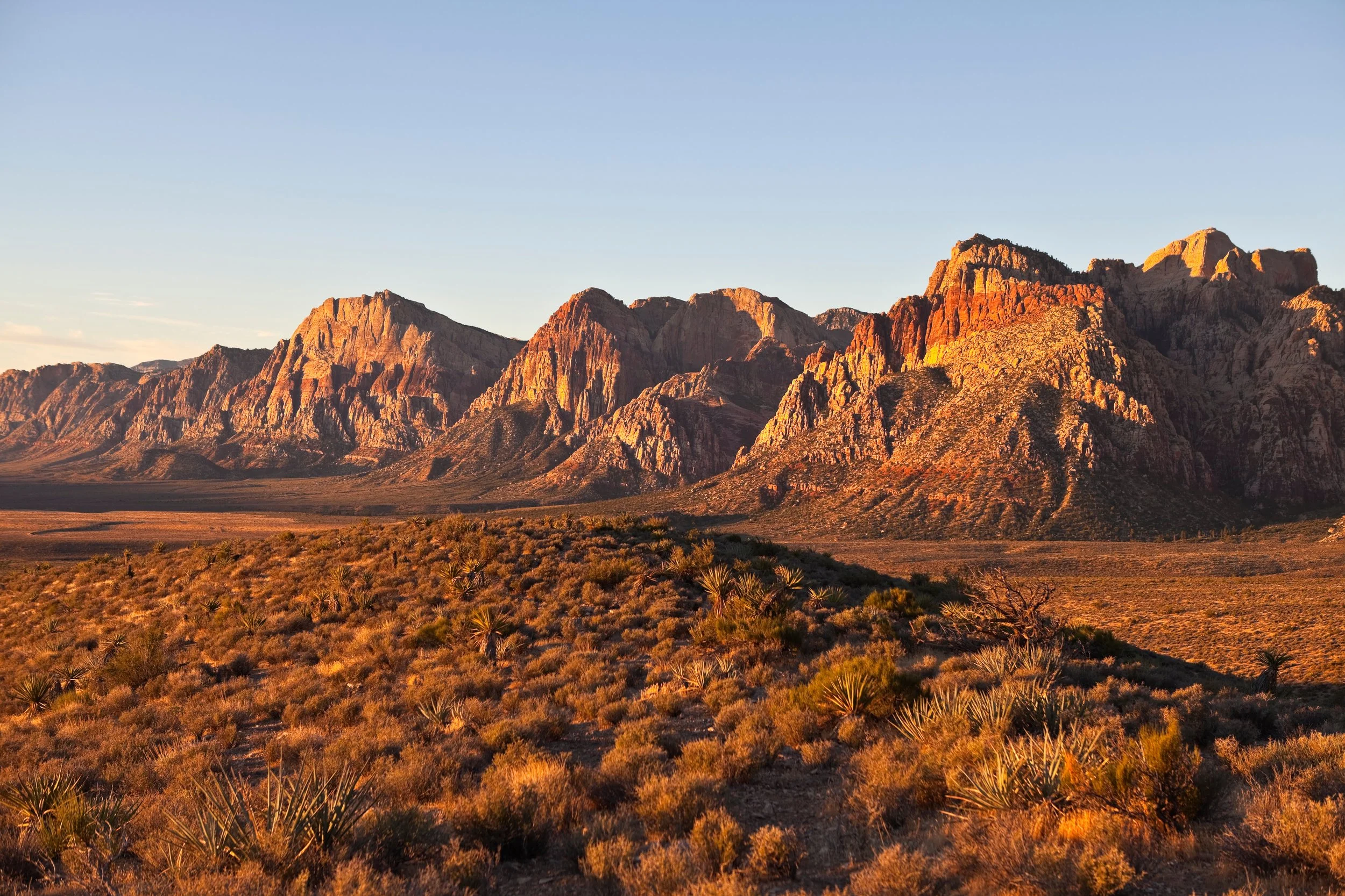 Brian Hibbetts for Assembly District 13