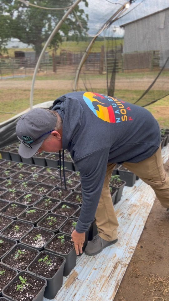 Naughty Squirrel Farms