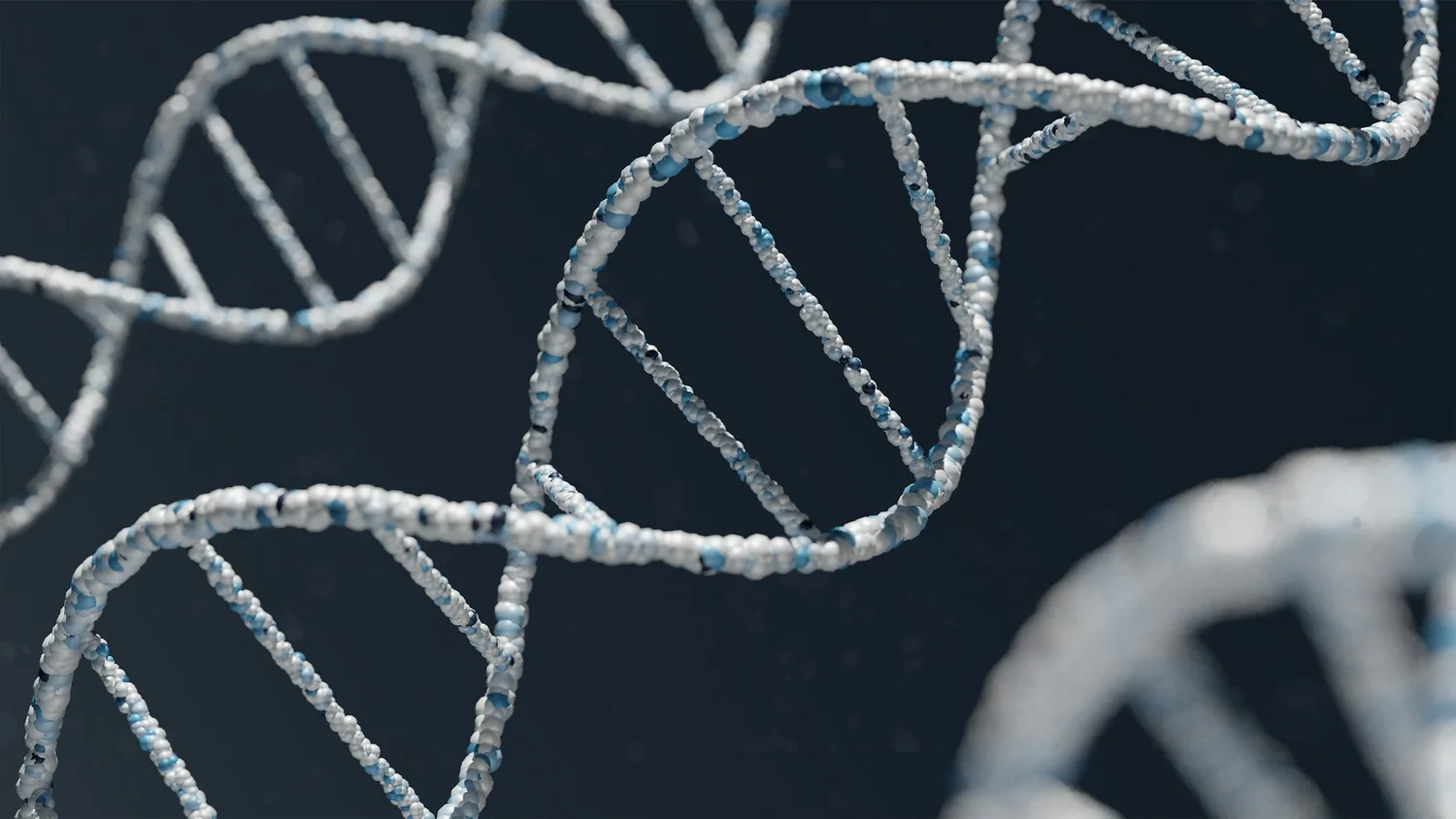 DNA Testing — Levelheaded Mind