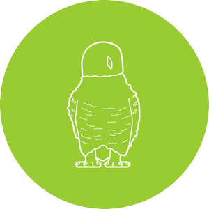 San Dimas Raptor Rescue — Los Angeles County Parks Foundation