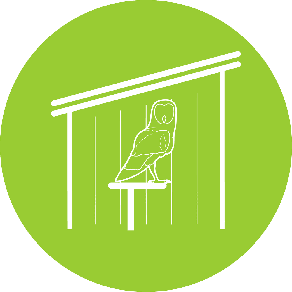 San Dimas Raptor Rescue — Los Angeles County Parks Foundation