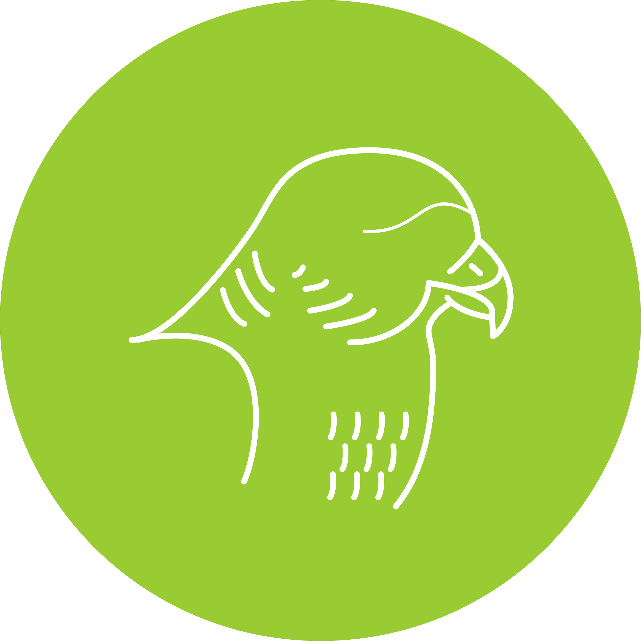 San Dimas Raptor Rescue — Los Angeles County Parks Foundation