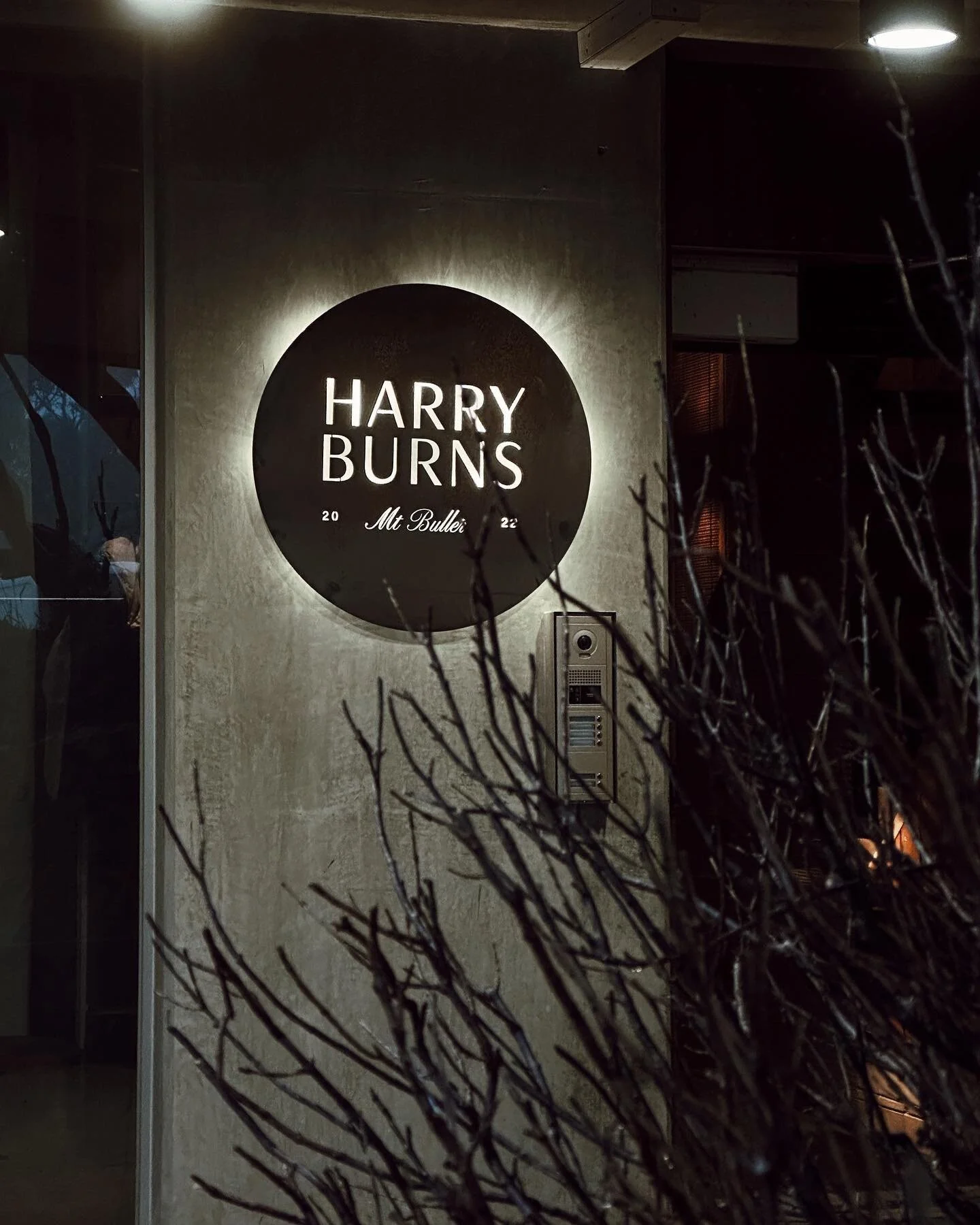 HARRY BURNS MT BULLER