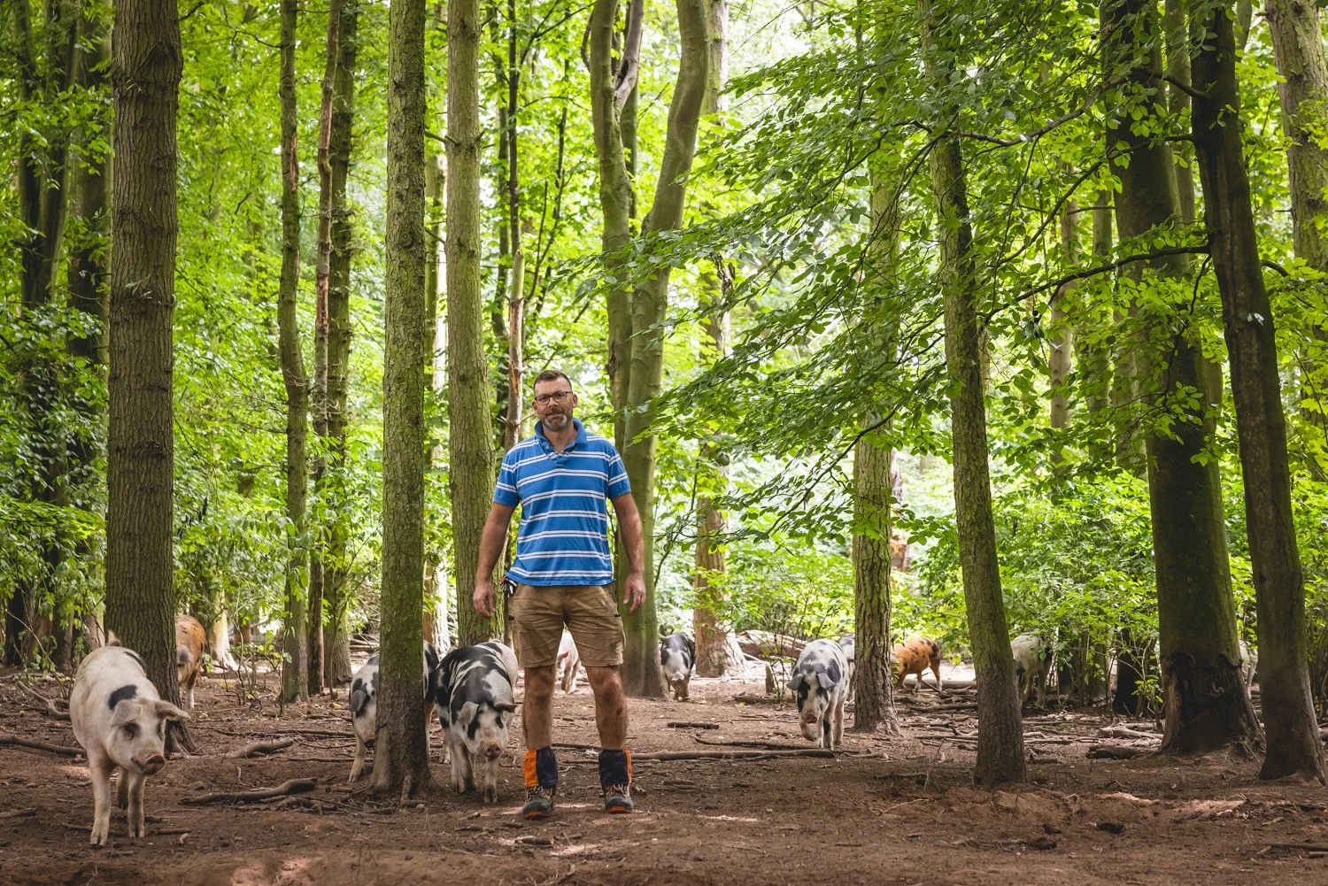 Carlton Towers Farm | Experience Authentic Farming Today — Carlton Towers