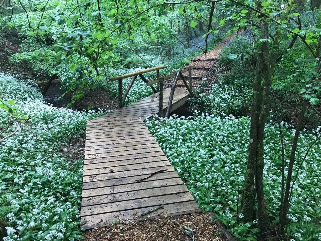 Gallery — Rowfant Trail