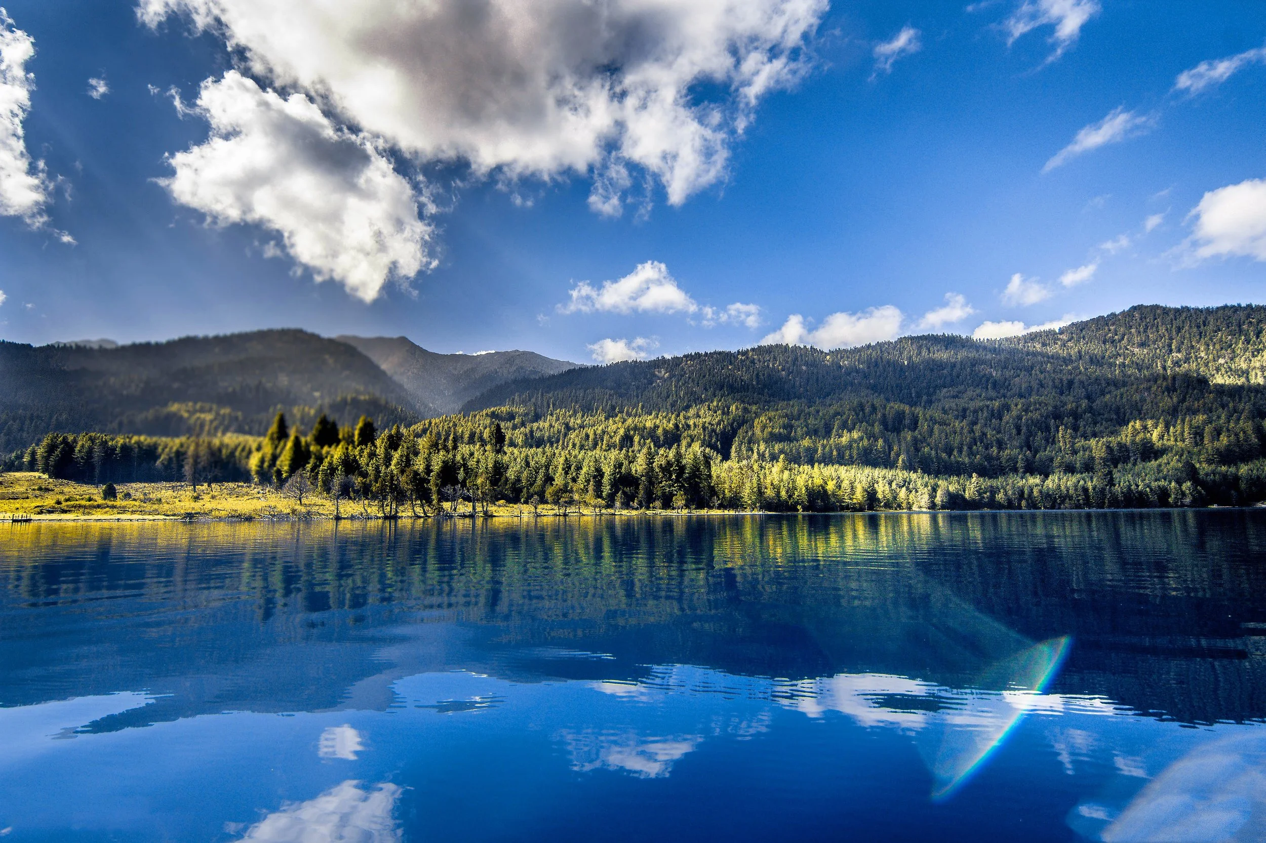 PTN PHOTOGRAPHY APPEAL: YOUR PHOTOS COULD FEATURE IN PTN'S 2023 ...