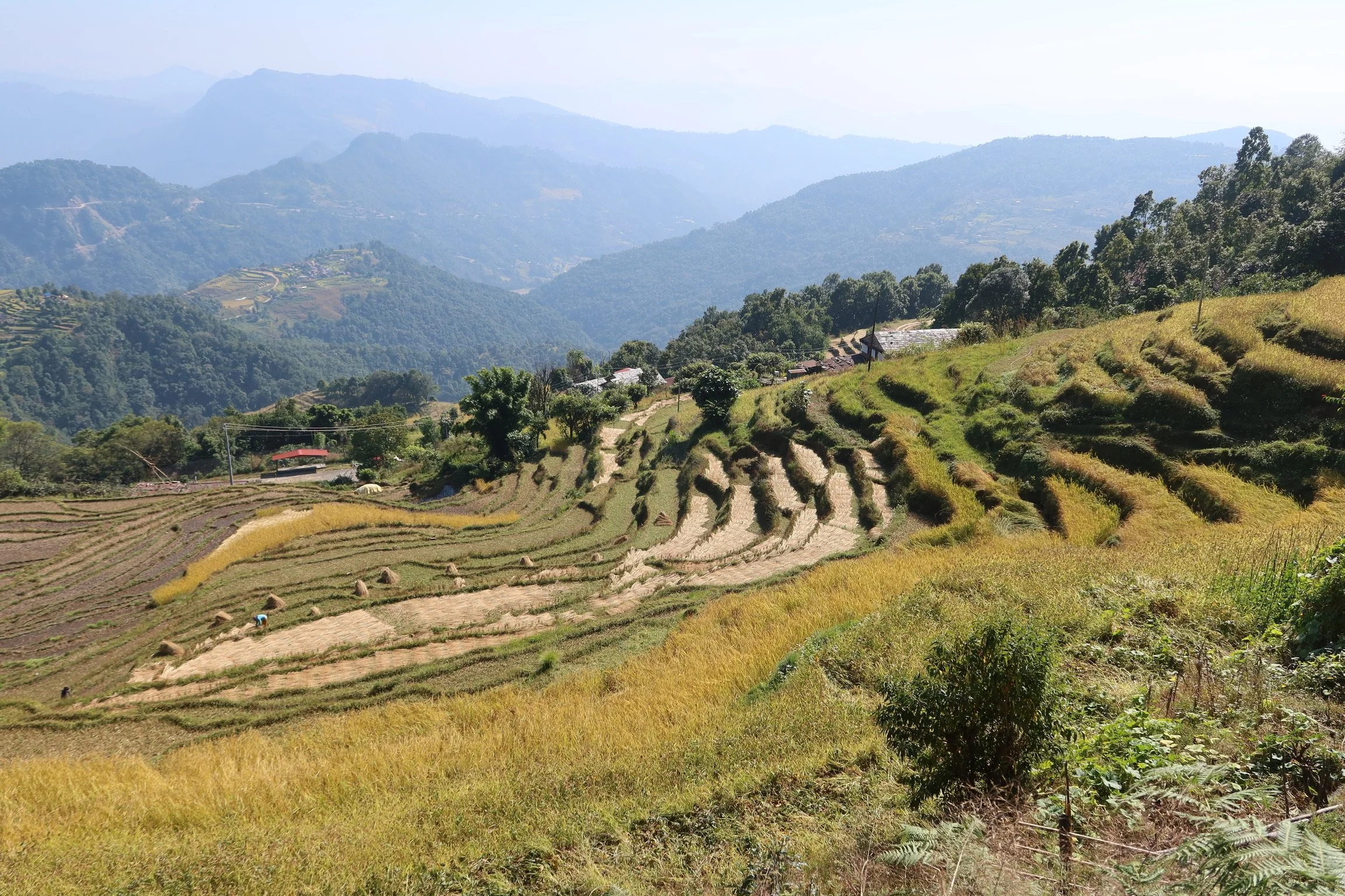Contact us - Get in touch with Pahar Trust Nepal, a UK charity working ...