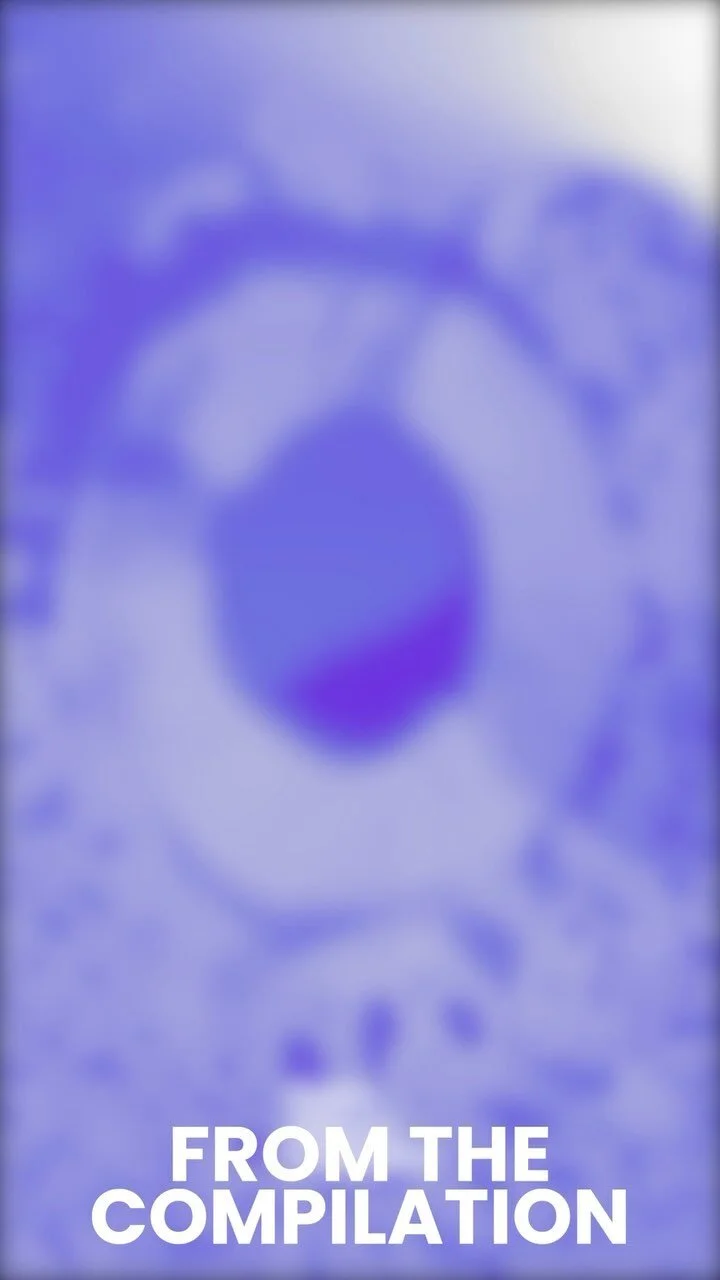 Deega - ‘Unknown Identity’ Out Now! — Petite Victory Collective