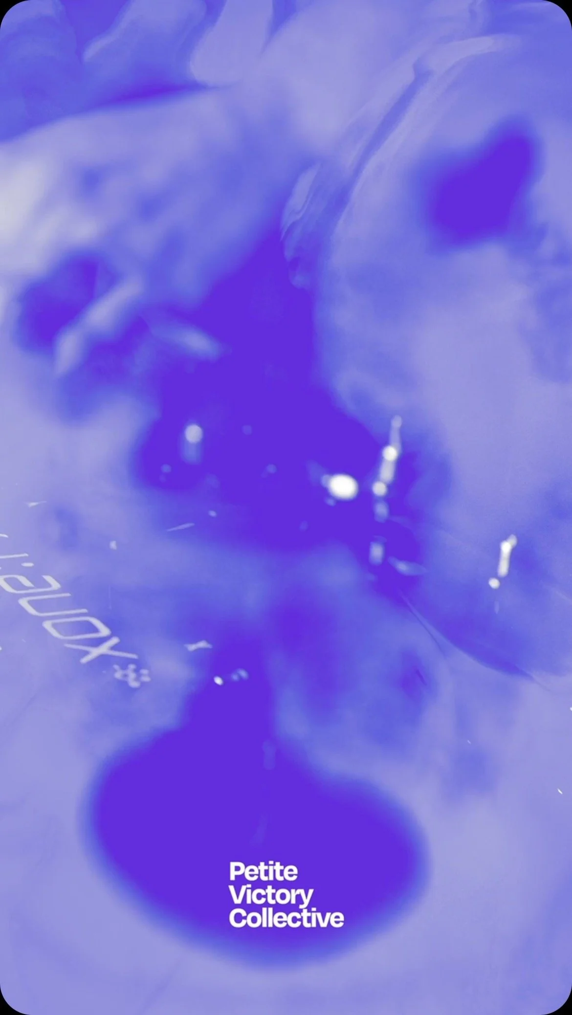 PVC Magazine #4 — Petite Victory Collective