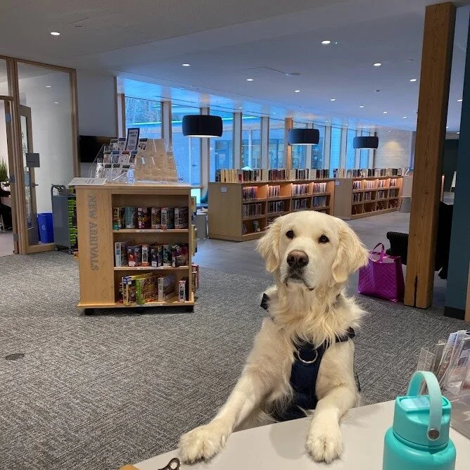 Contact — Norwell Public Library