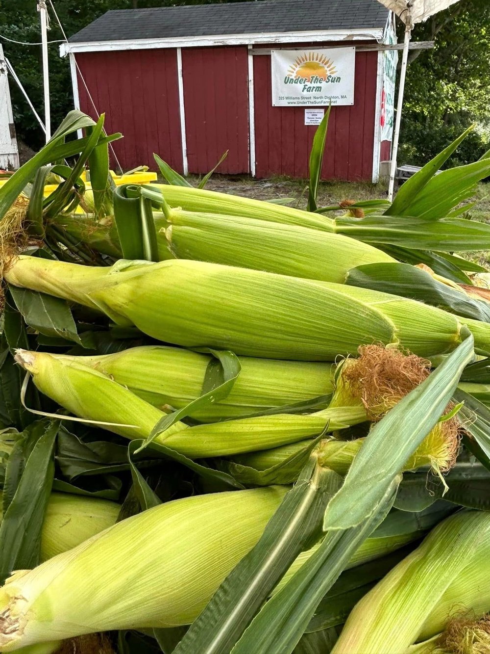 Under the Sun Farm