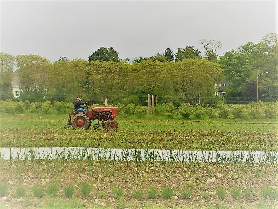 Under the Sun Farm | Discover Fresh Produce