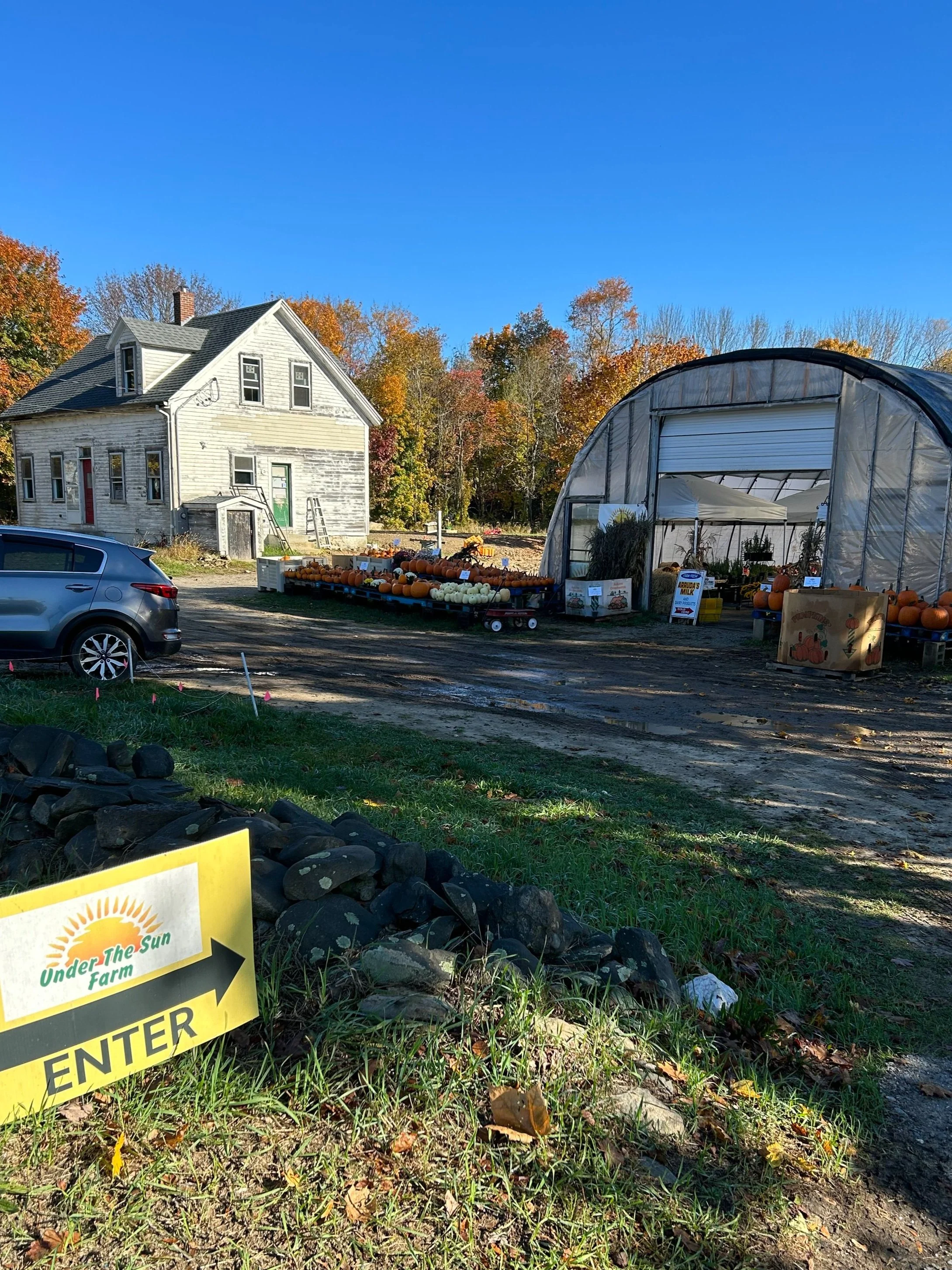 Under the Sun Farm