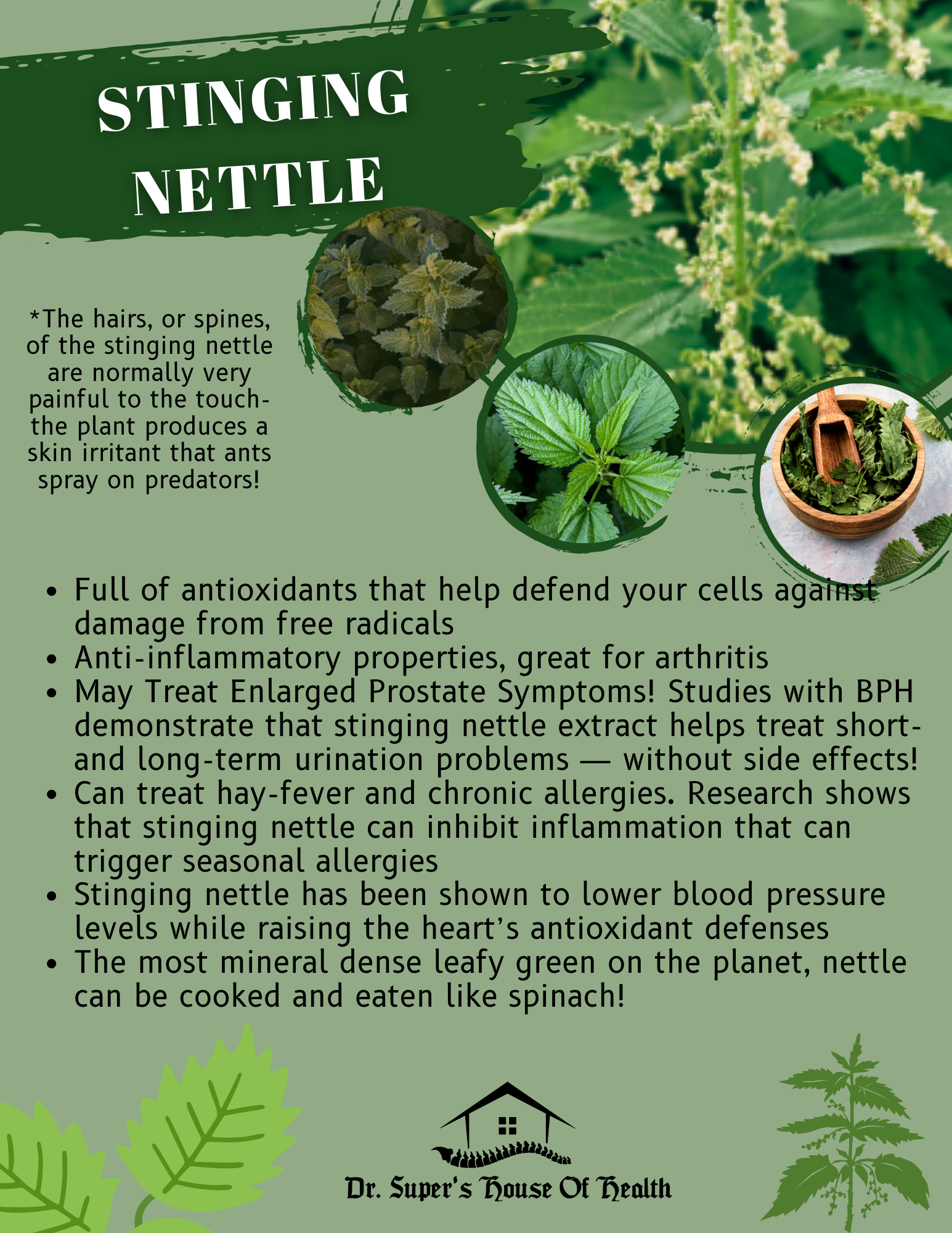Native Herbs and Their Benefits! — Dr. Super's House of Health, putting ...