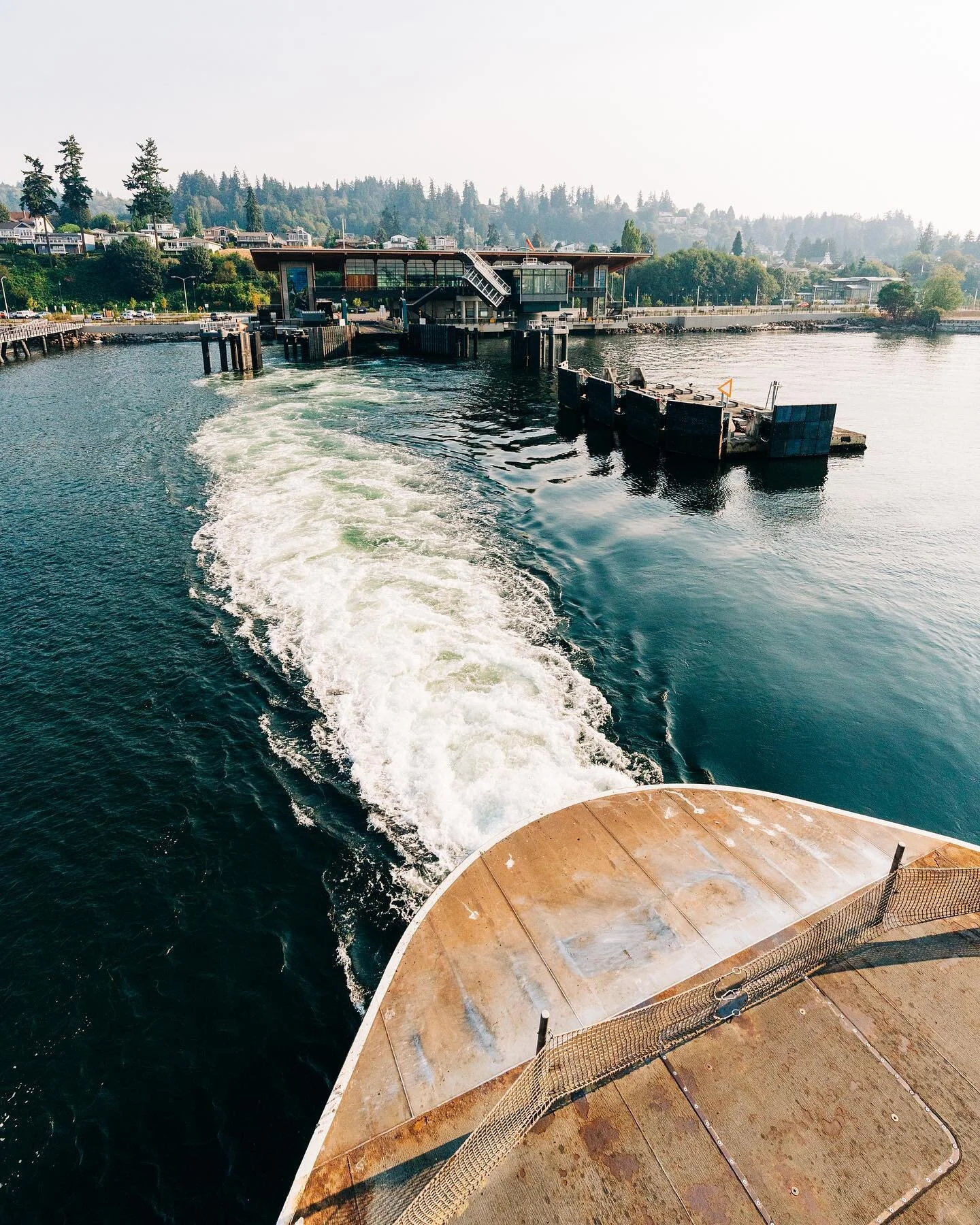 Our Wild Puget Sound