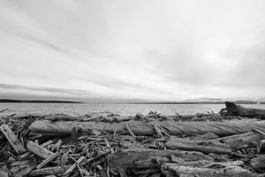 Building Puget Sound — Our Wild Puget Sound