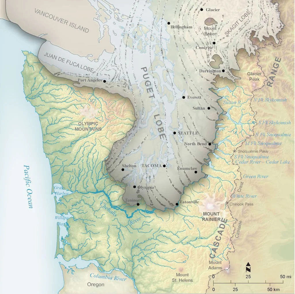 Building Puget Sound — Our Wild Puget Sound