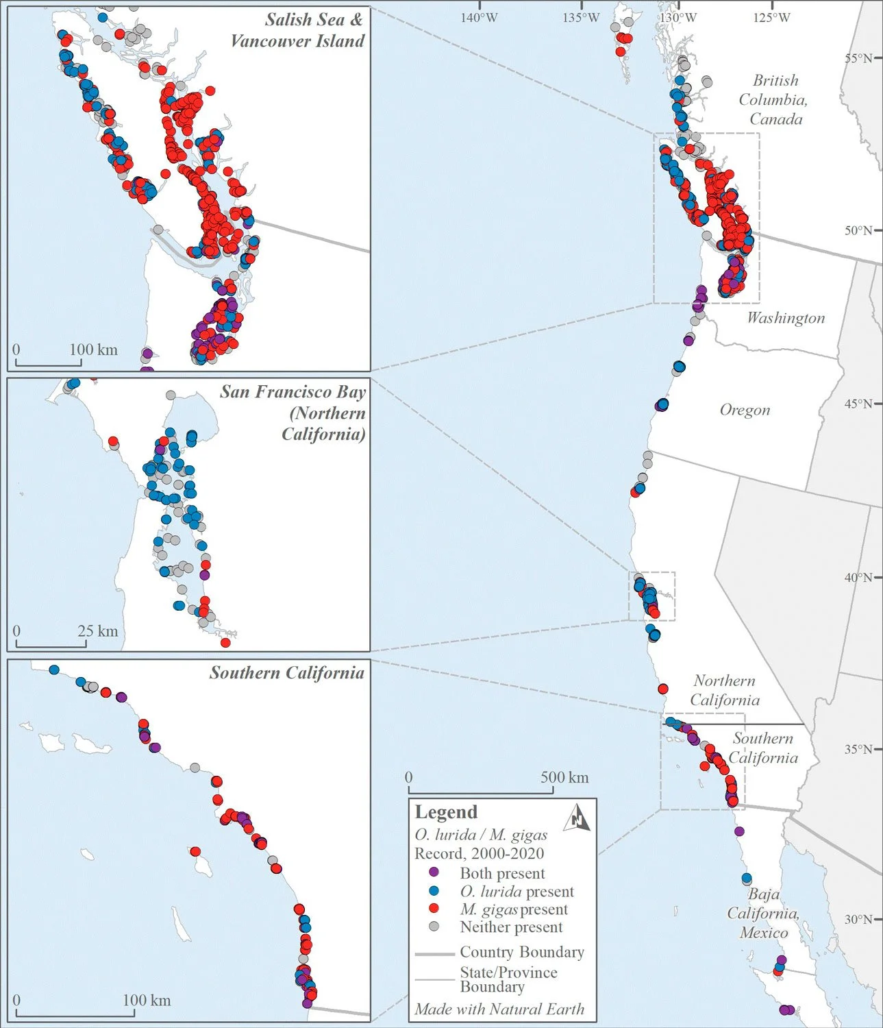 Celebrating, and Saving, the West Coast’s Only Native Oyster — the ...