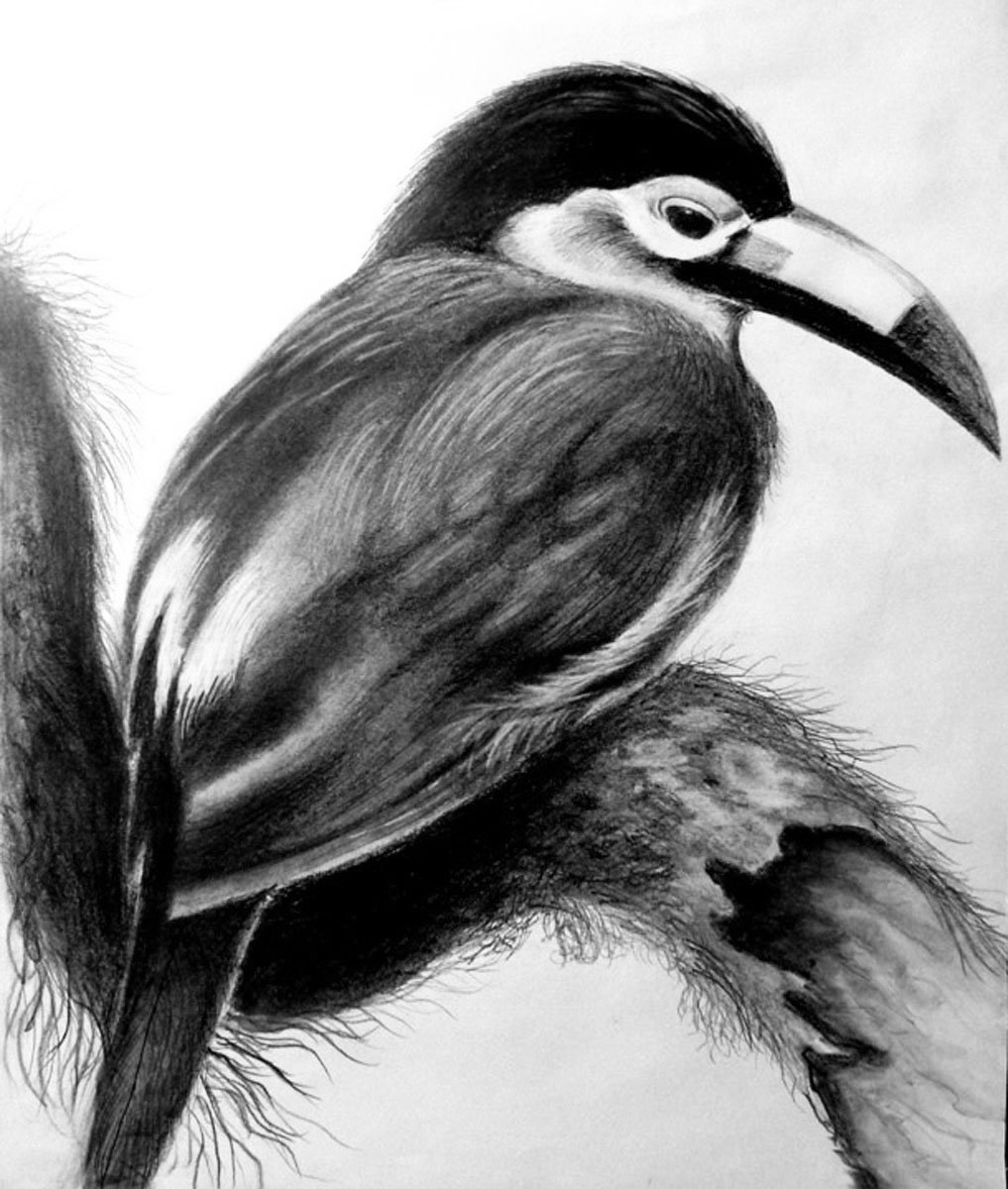 Drawing 1 — Schack Art Center