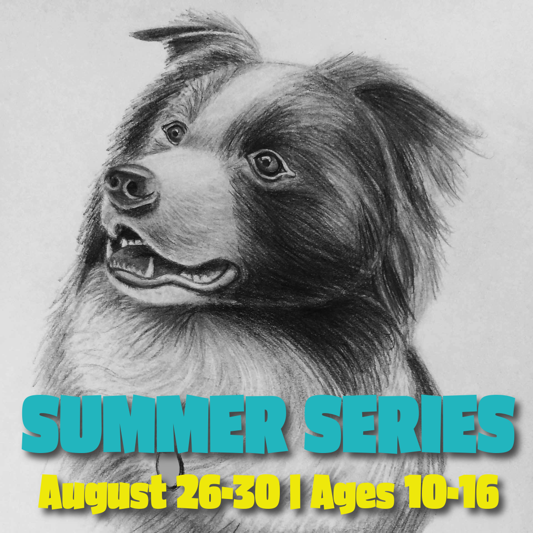 Drawing — Schack Art Center