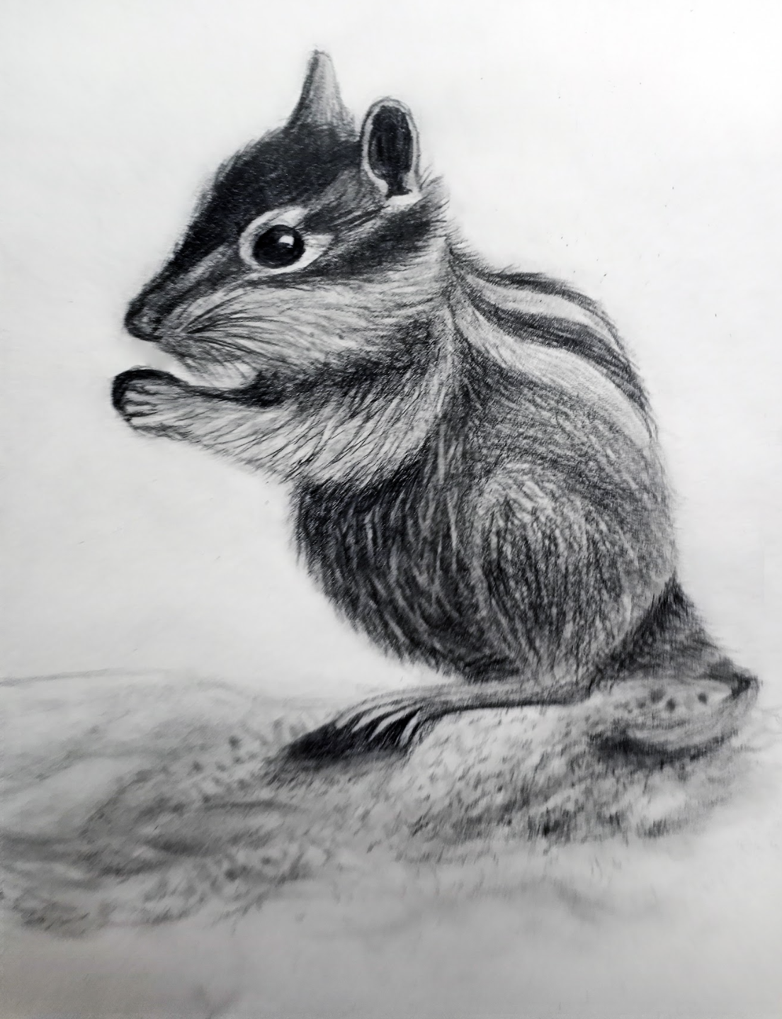 Drawing — Schack Art Center