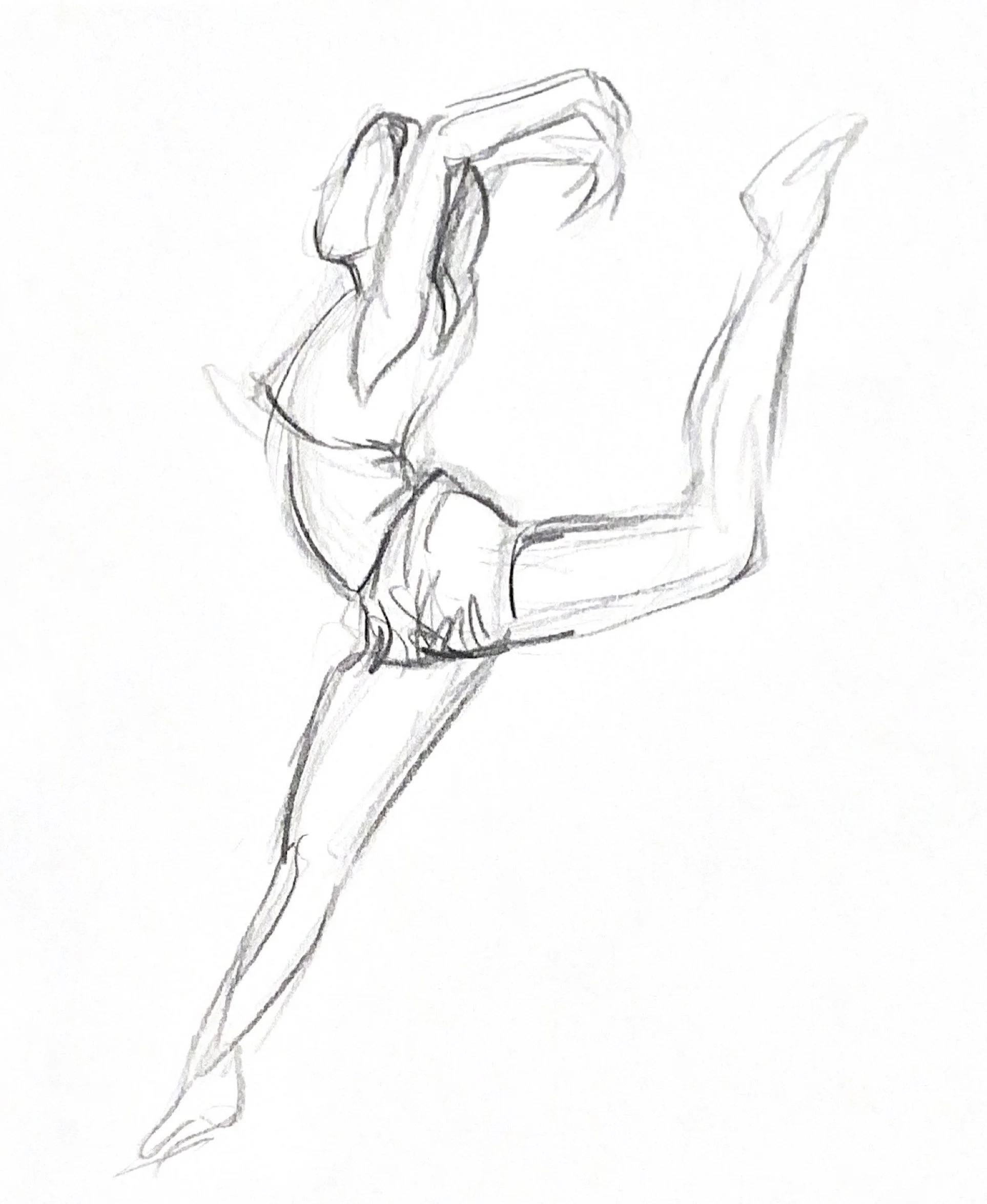 Adult Art Classes — Schack Art Center