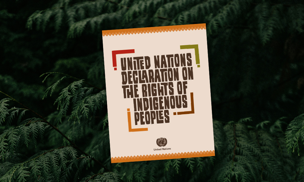 ARTICLE: The road to reconciliation starts with the UN Declaration on ...