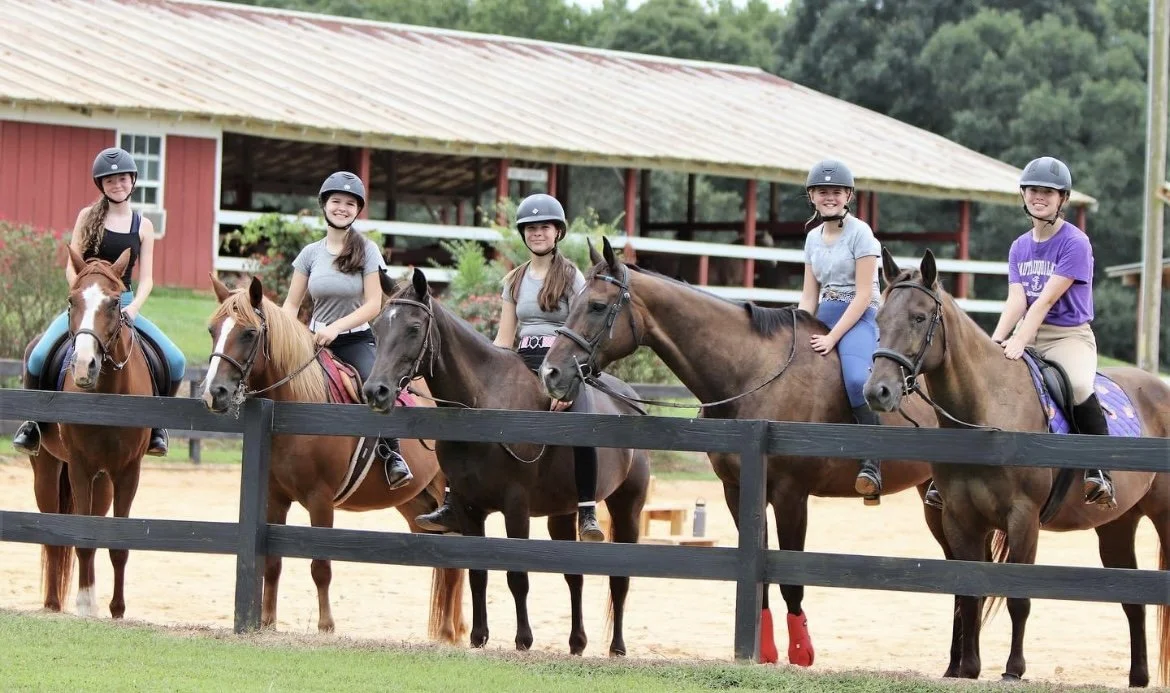 Lessons — Love Reins Equestrian