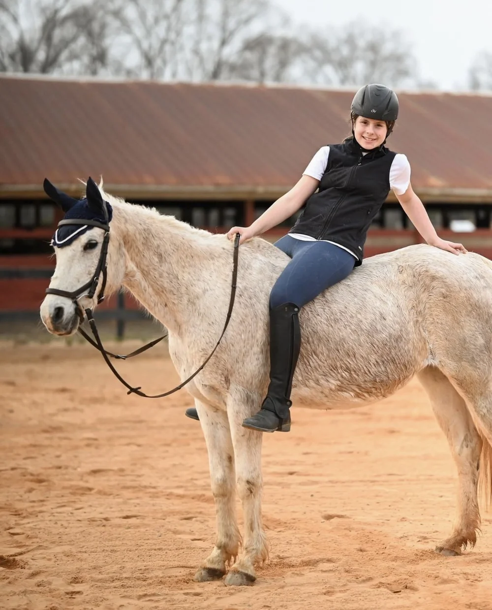 Photo Gallery — Love Reins Equestrian