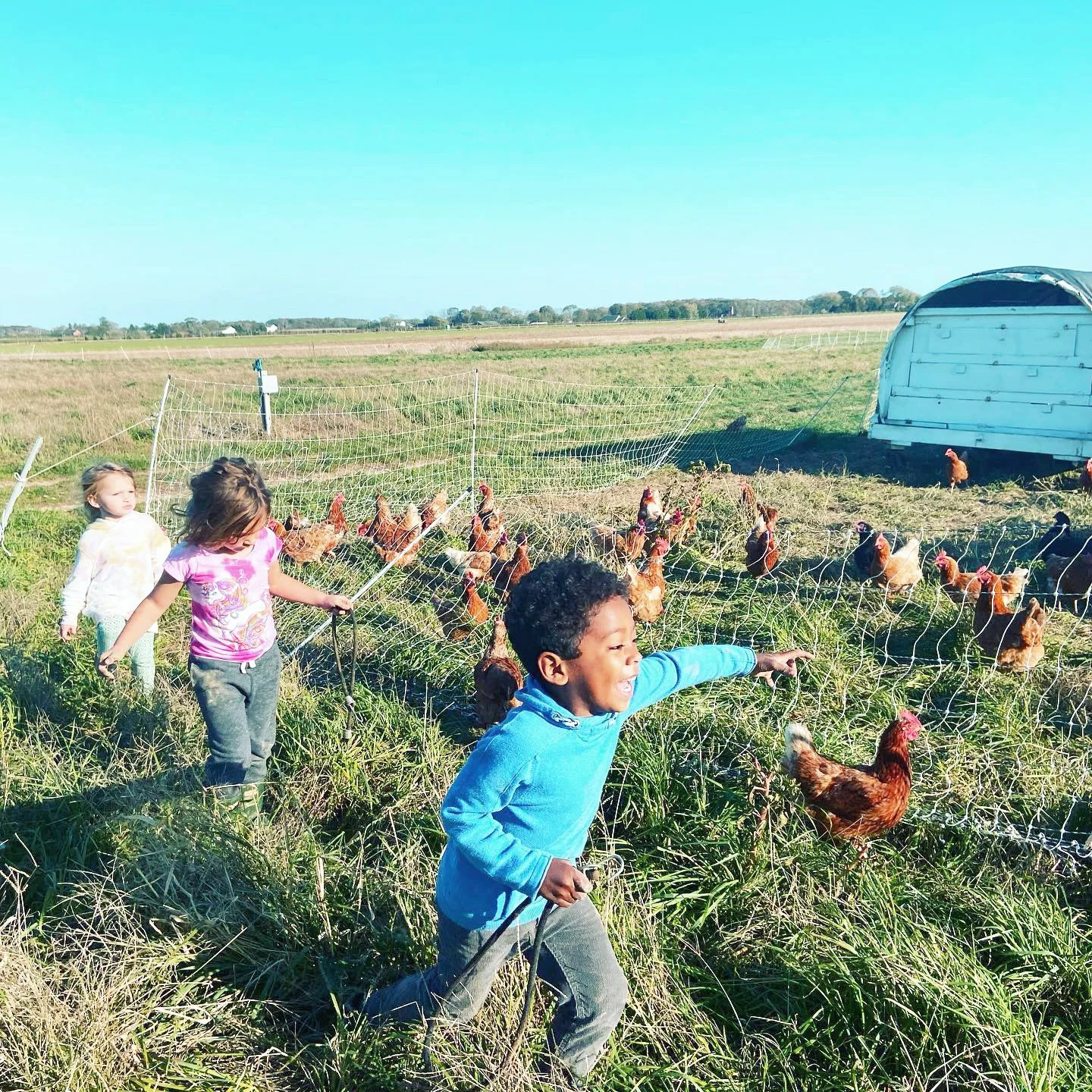 BROWDER'S BIRDS - LIVESTOCK FARM - EAST END OF LONG ISLAND