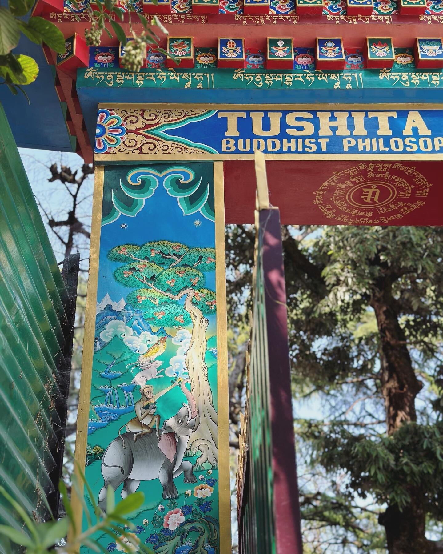 IVU | SHI - Holistika z Himálají