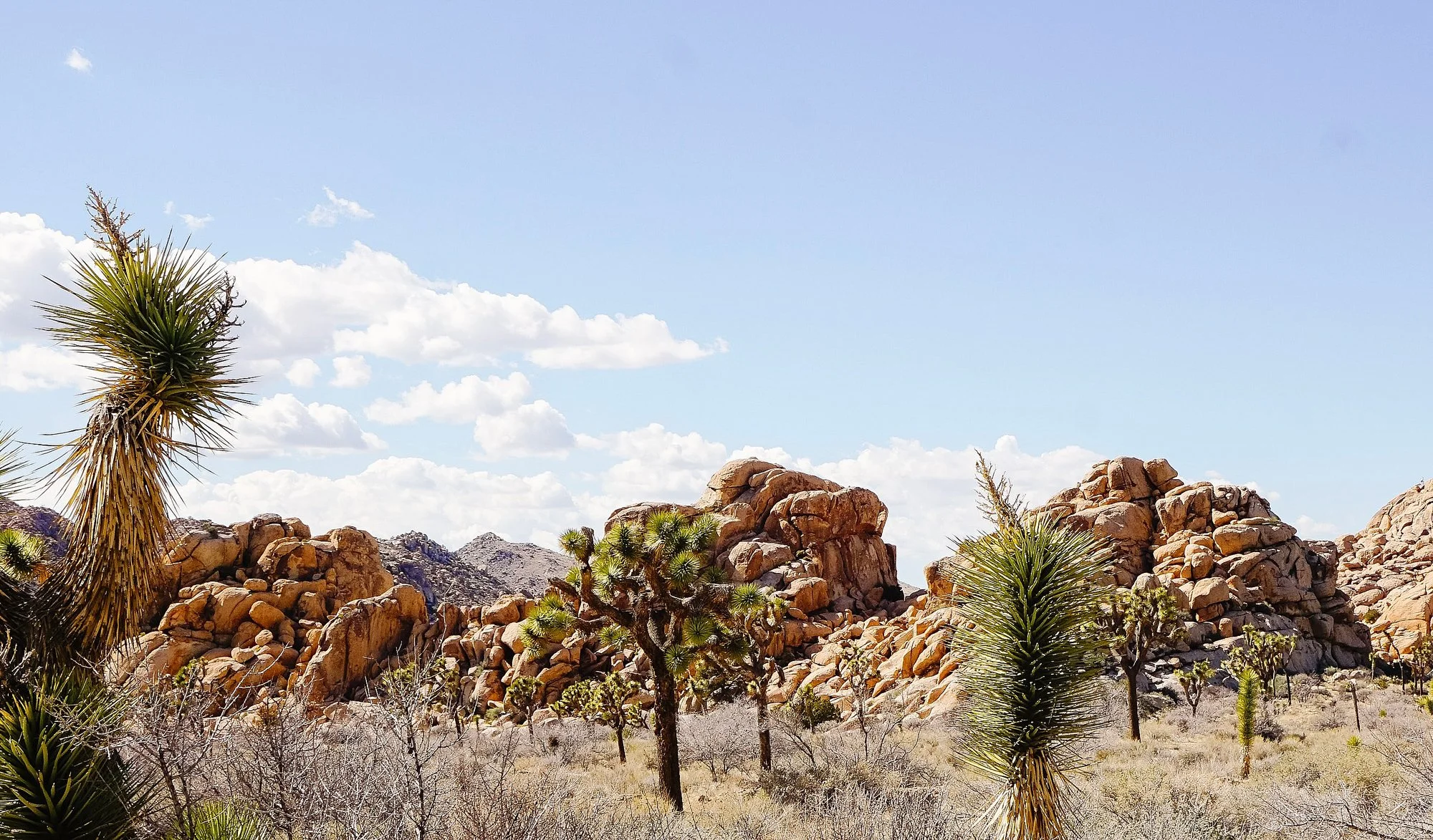 Eva Jorgensen / Travel, Art & Design in France & the American West