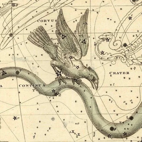 Algorab — Orphic Astrology