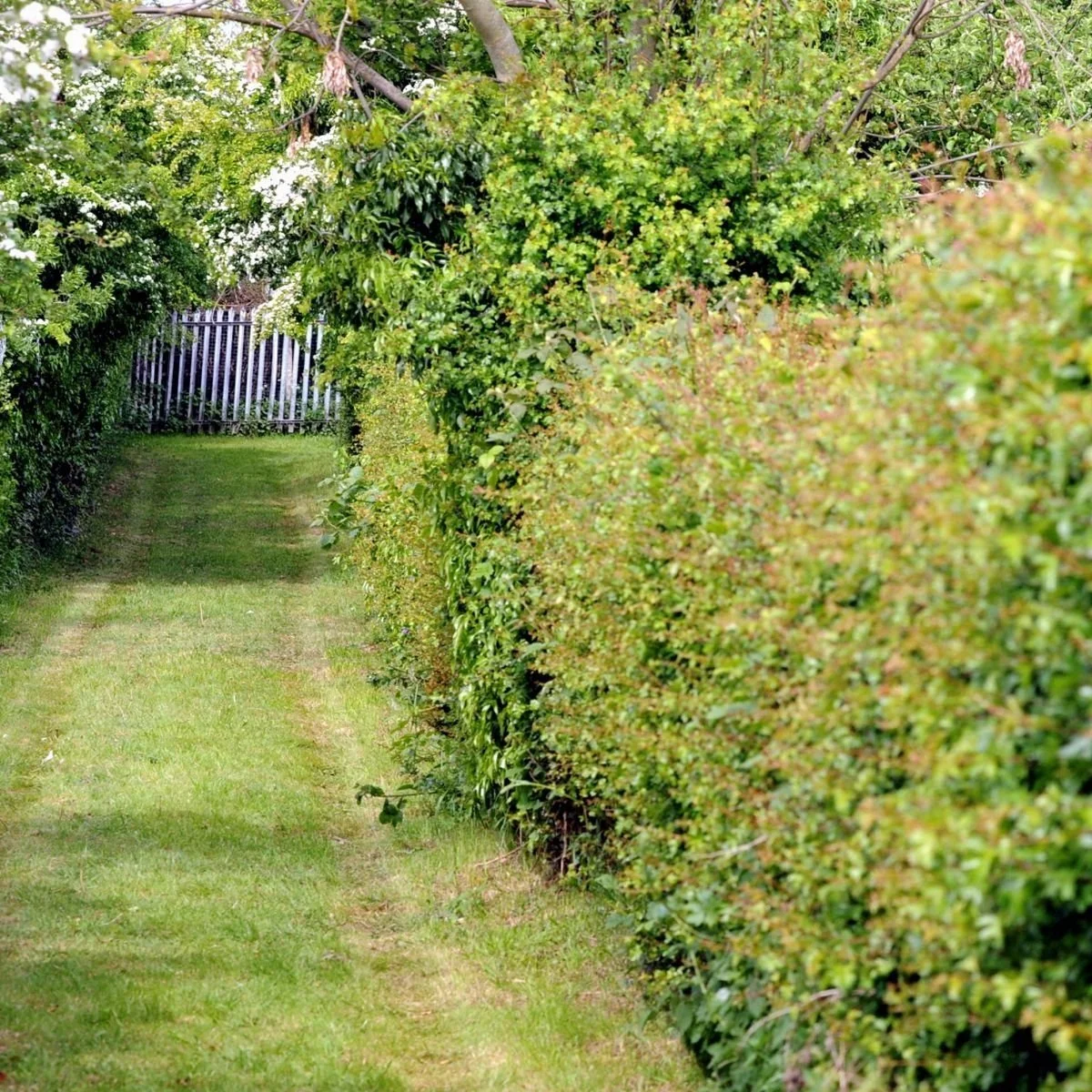Local Climate Action in the Tillingbourne Valley, Surrey Hills ...
