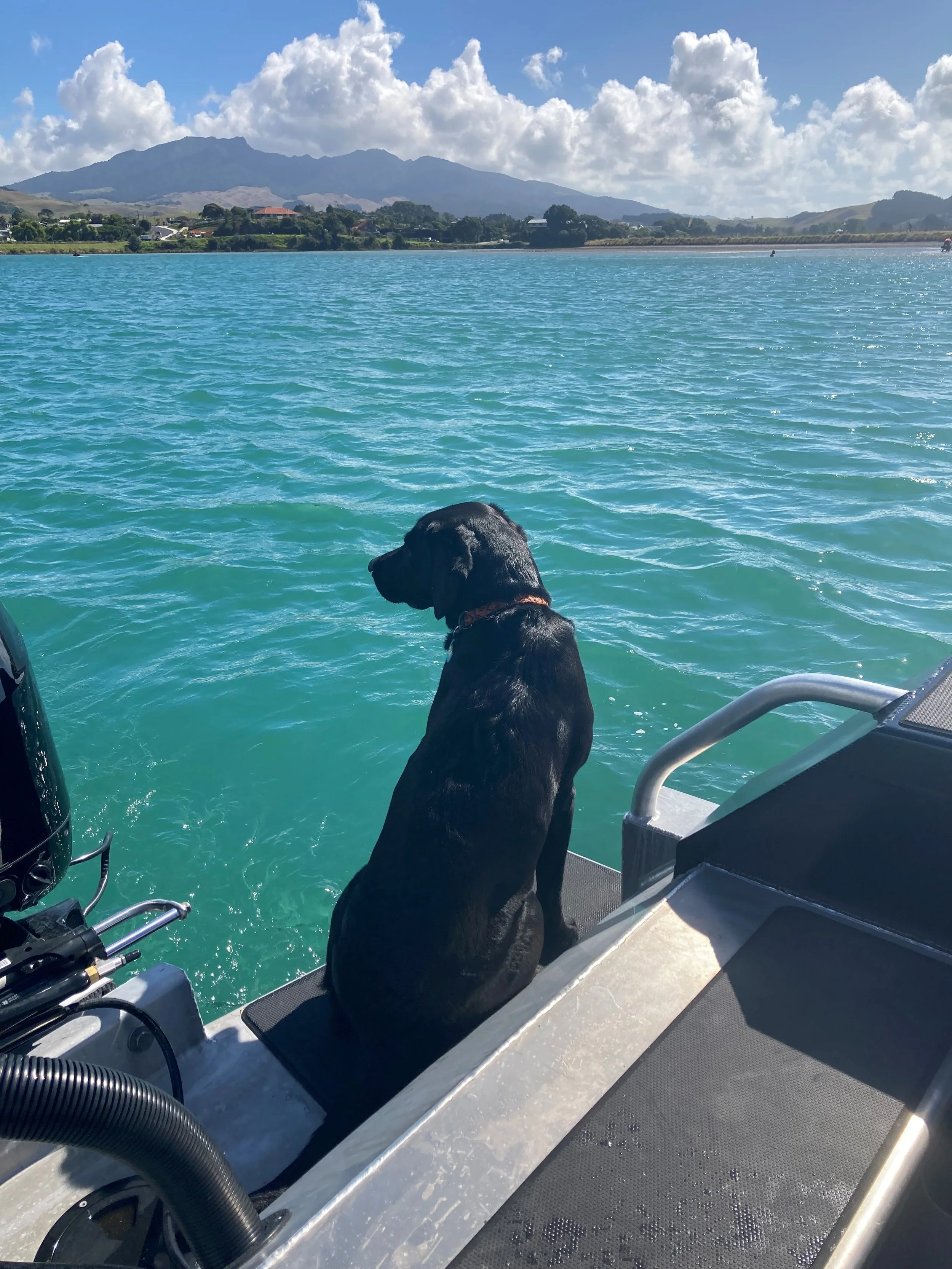 HYDROLAB MARINE