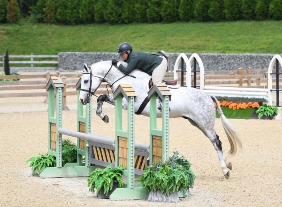 Leasing & Sales — Country Lane Farm