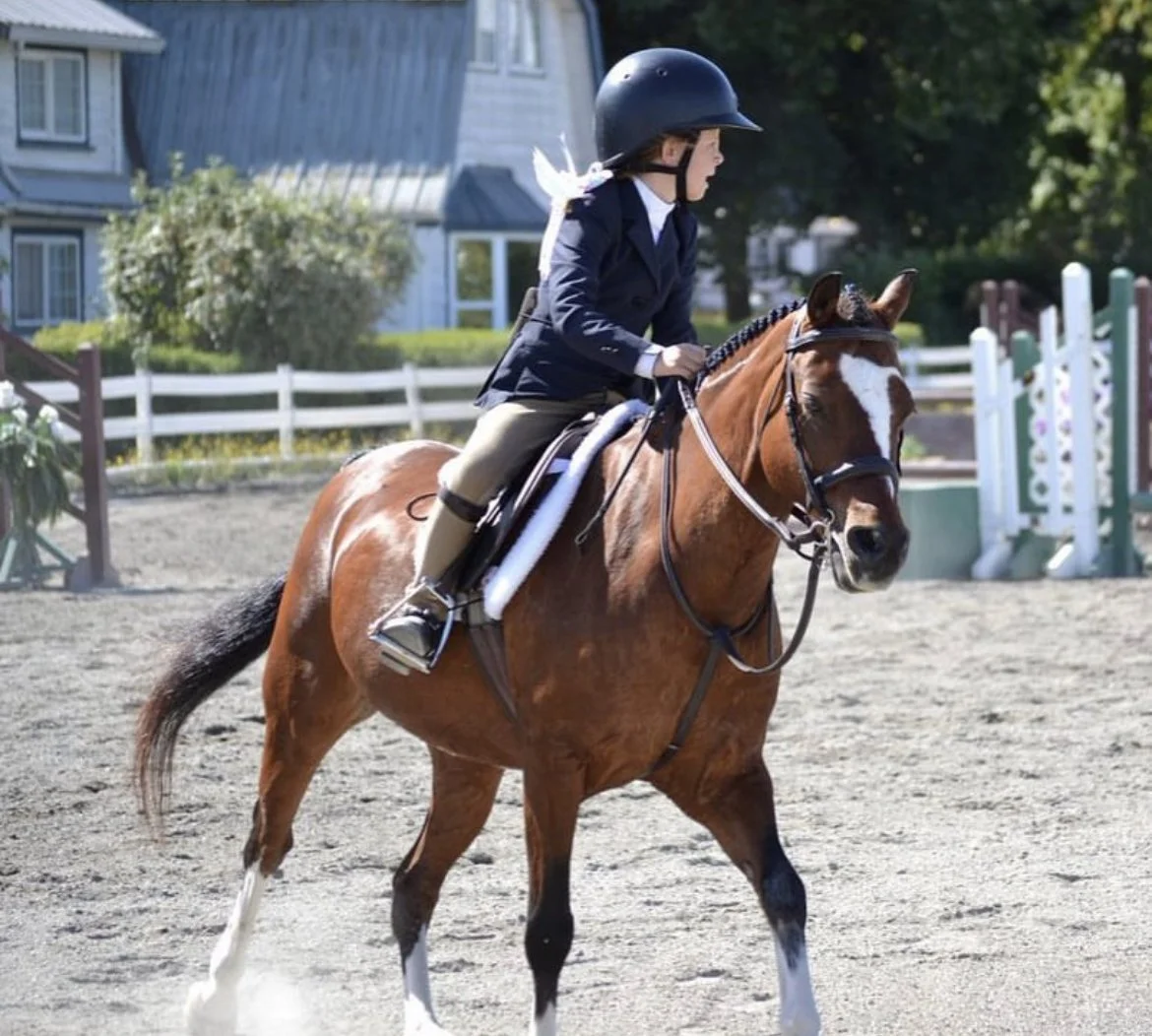 Leasing & Sales — Country Lane Farm