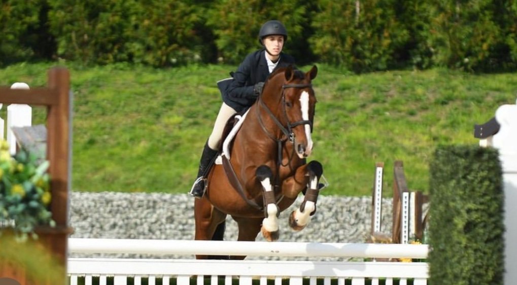 Leasing & Sales — Country Lane Farm